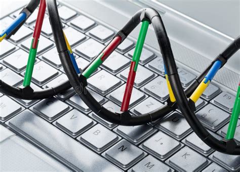Dna Molecule Model On Computer Keyboard Stock Image Image Of Conceptual Hardware 83763835