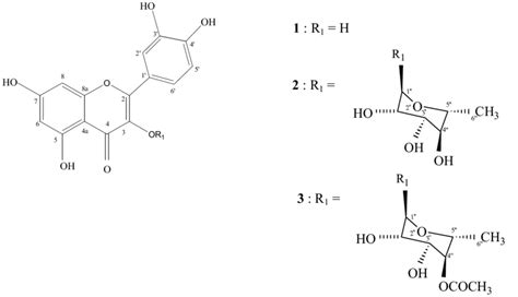Structure Of Quercetin 1 Quercitrin 2 And 4 O Download Scientific Diagram
