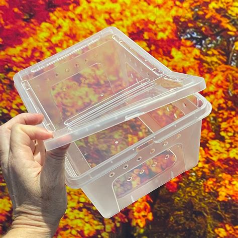 Stackable Hatchling Boxes Multi Buy Reptile Realm