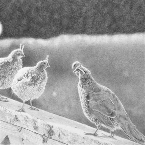 C Fiddler Art Youtube