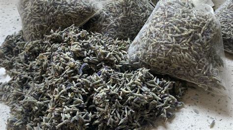 Заготовка лаванды Youtube