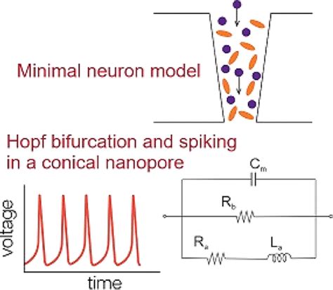 Iontronic Nanopore Model For Artificial Neurons The Requisites Of