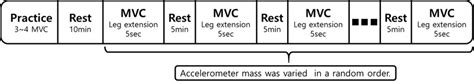 The Mvc Exercise Protocol Download Scientific Diagram
