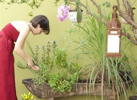 I Love Jardinagem Horta Em Casa Como Fazer E Cultivar