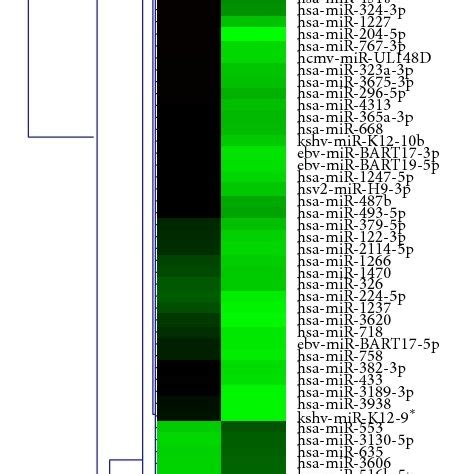 Heat Map Of The Hierarchical Clustering Of 448 Differentially Expressed