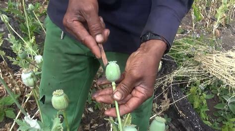 Rfa နေ့စဉ်တိုက်ရိုက်ထုတ်လွှင့်ချက် ၂၀၂၃ ဒီဇင်ဘာ ၁၂ ရက် ညပိုင်း Youtube