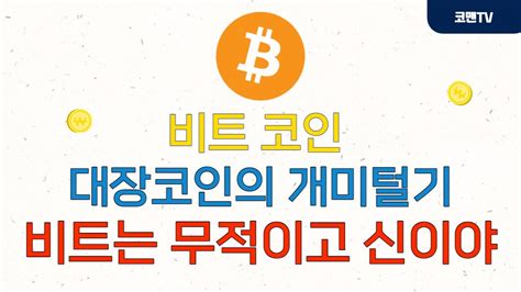 비트 코인 비트코인 대장코인의 개미털기 지금자리 놓치지마세요 Youtube