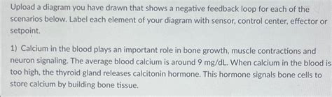 Solved Upload A Diagram You Have Drawn That Shows A Negative