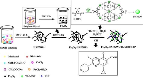 Schematic Diagram Of The Preparation Of The Dual Functional Download Scientific Diagram