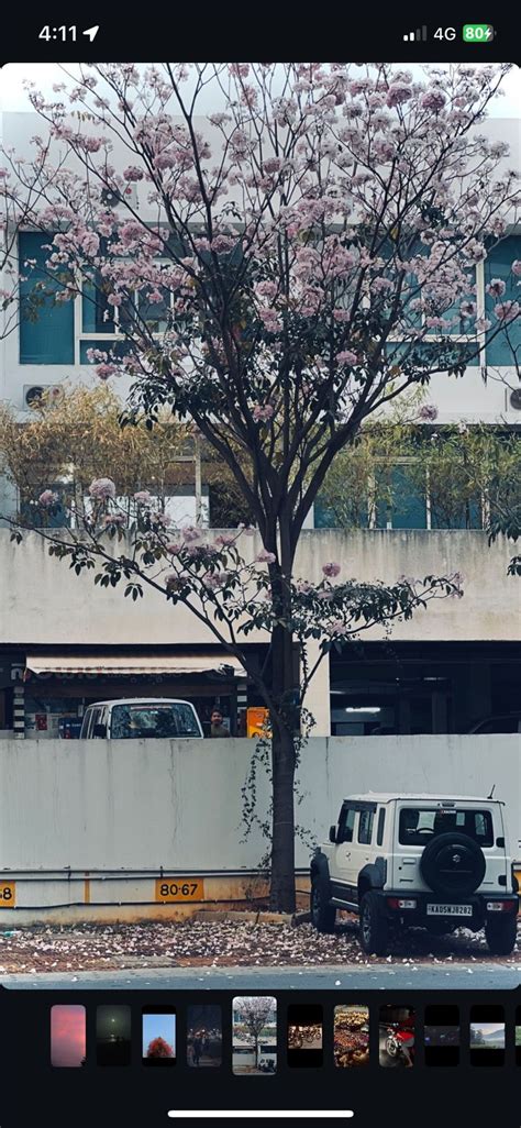 Sih Number Plate Detection Object Detection Dataset By Emobility