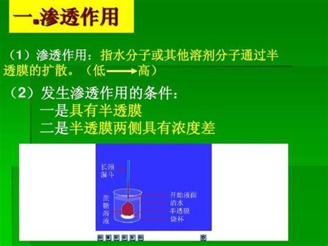 产生渗透现象的必备条件是发生渗透作用的条件经验 综合百科 绿润百科