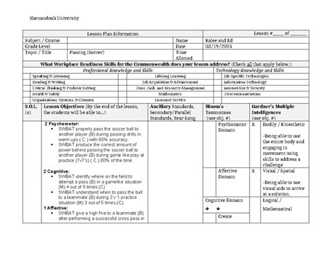 Lesson Plan Template Completed Lesson Plan Information Lesson Of Subject