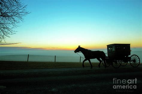 Amish Buggy At Night Photograph By David Arment