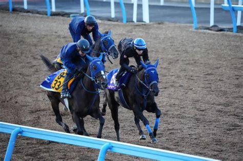 【天皇賞・秋】ユーバーレーベン 馬なりでリズム良い走り、手塚師「前走以上に良い」 競馬ニュース