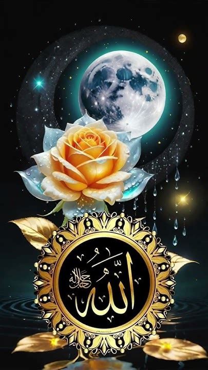 💫🌱🌺🌹🥰🕋🇵🇸😍🥺👉 ️‍🩹🤕💚💐 Shorts Ytshorts Youtube