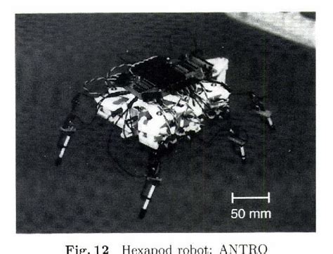 Figure 11 From A Turning Gait Generating Network For A Hexapod Robot Semantic Scholar