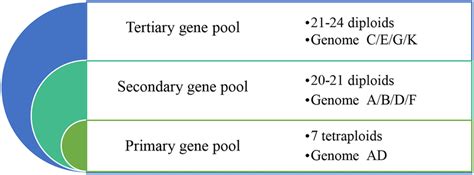 The Primary Secondary And Tertiary Gene Pools Based On Their Genetic