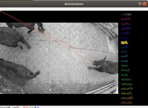 Initial Unmovable Keypoint On Top Left · Issue 85 · Jgraving Deepposekit · Github