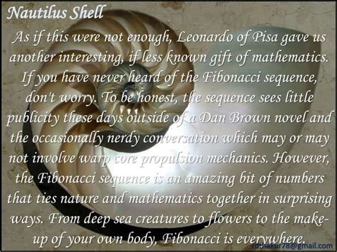 Maths In Nature Fibonacci Pptx