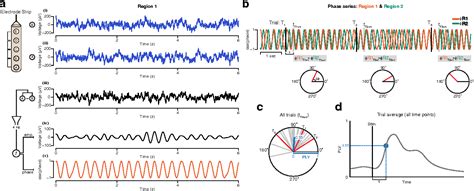 Figure 2 From Human Retrosplenial Cortex Displays Transient Theta Phase Locking With Medial