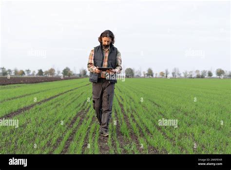 Farmer With Digital Tablet In Young Wheat Field Smart Farming And