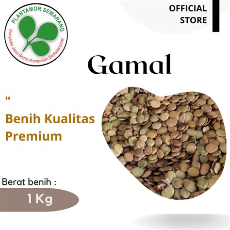 Jual Biji Gamal 1 Kg Shopee Indonesia