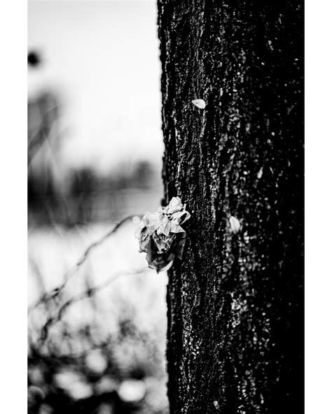 Windpathchs Windpathchs • Instagram Photos And Videos