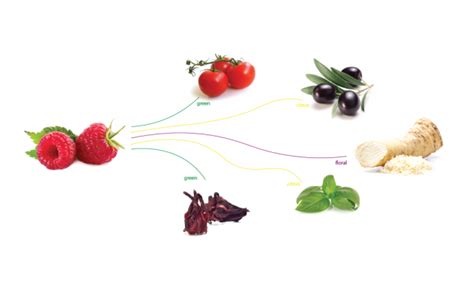 Pairings Foodpairing