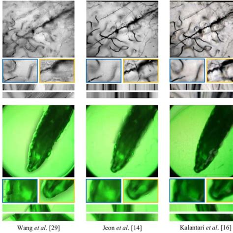 Comparison Of Light Field Reconstruction Results On Stanford Microscope