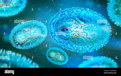 Illustration Of Variola Virus Particles The Cause Of Smallpox Each