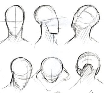 Adobe Illustrator Drawing Basic Human Shapes Graphic Design Stack