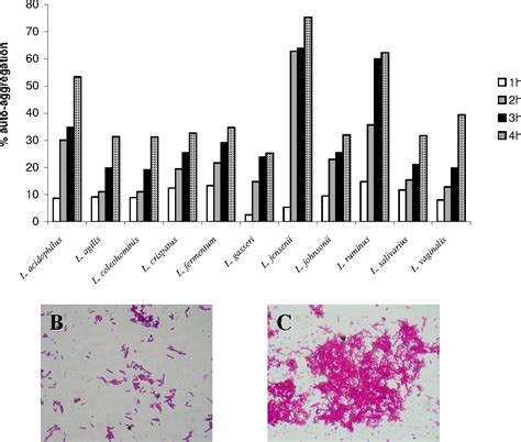 Figure 1 From Vaginal Lactobacilli As Potential Probiotics Against