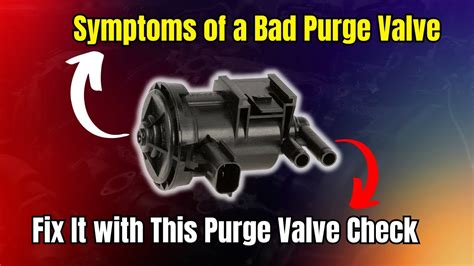 Symptoms Of A Bad Purge Valve