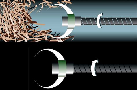 Tree Roots In Sewer A Sewer Drain Cleaning Service