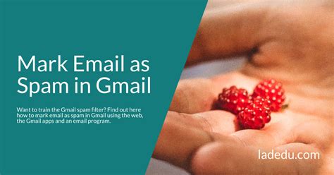 How To Mark Email As Spam In Gmail La De Du