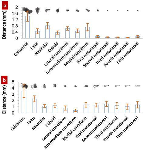 Relationship Between The Com And Cos Of The Cross Sectional Image Fig