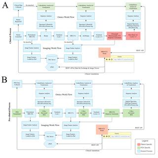 A Clinical Workflow Associated With A Co Clinical Trial B Download Scientific Diagram