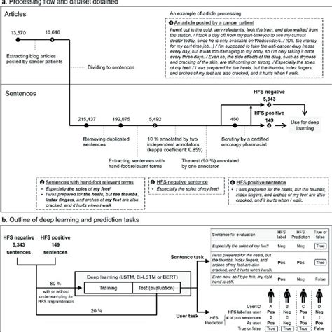 Overview Of Data Processing And Deep Learning Download Scientific Diagram