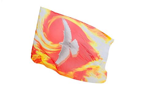 Worship Flags Chiffon Angel Wing Banner Lightweight Silk Dance Prop