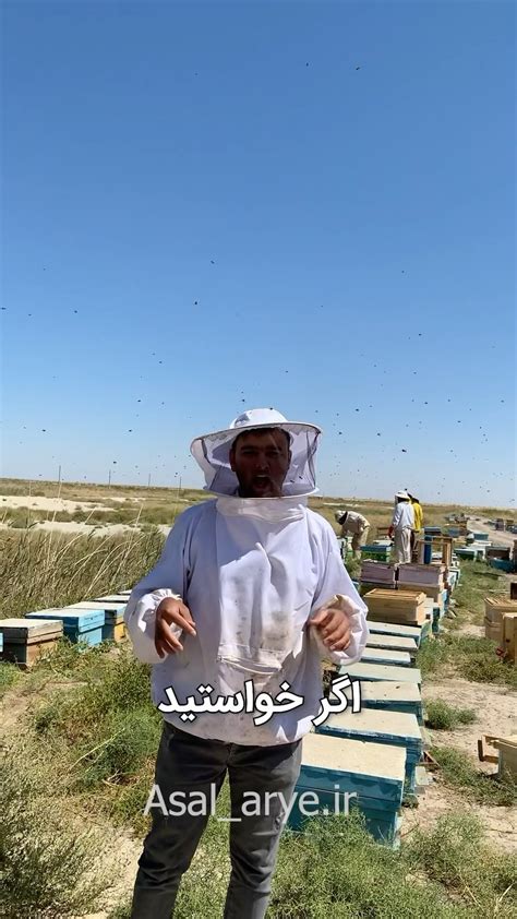 ‎عسل طبیعی عسل اَریه‎ ‎⭕️اول فالو کن منو بی زحمت چون همه چیزو بهت میگم دوم هم اینکه این حجم