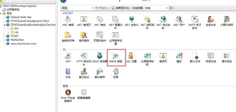 解决iis网站发布问题 Csdn博客