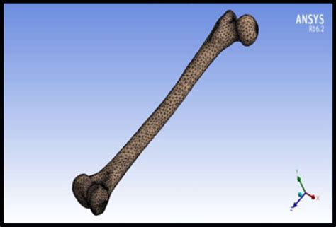 Meshing With Tetrahedral Elements Download Scientific Diagram