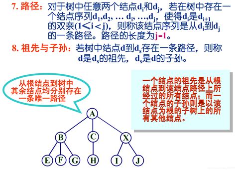 数据结构（五）树与二叉树（一）任意给定一棵二叉树是设计程序在计算机中构造二叉树并对其进行并利用非递归形式实现 Csdn博客