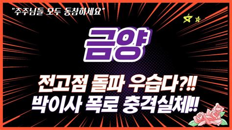 금양 전고점 돌파 우습다 박이사 폭로 충격 실체 금양 주주님들 이번 영상 꼭보세여 난리났습니다 금양주가
