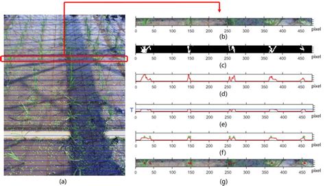 Feature Point Extraction A Original Image Of Paddy Field B Strip Download Scientific