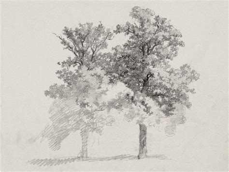 Botanical Sketch Trove Prints