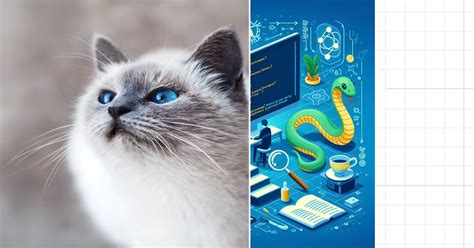 List Gcp Curated By Matt Schneider Medium