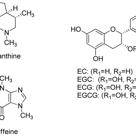 HPLC Chromatograms For The Marfey S Derivative Of The Four Download Scientific Diagram