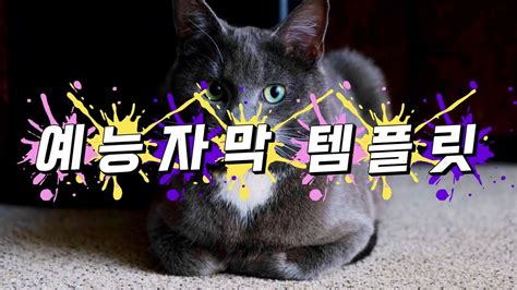 [템플릿공작소] 예능자막 템플릿 10 Youtube