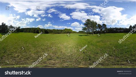 Hdri Tree Photos And Images Shutterstock Hdri Tree Photos And Images Shutterstock